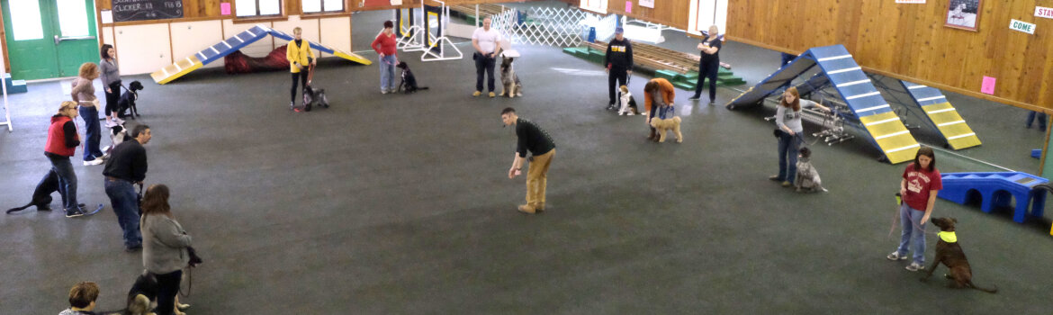 Level I Dog Training Class at Misty Pines Pet Company